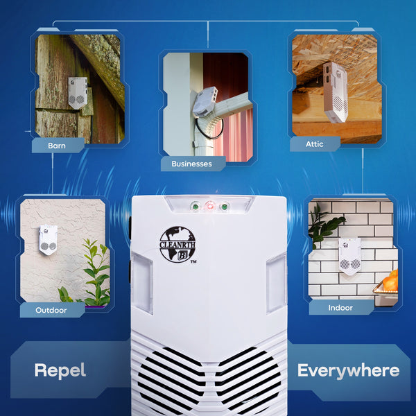 Cleanrth CB006 Advanced Ultrasonic Bat Repelling System | Demands Bats ...